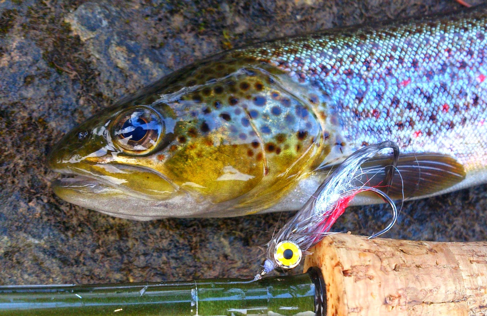 Flugfiske i Årefjällen: H.O.D